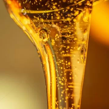 Recond Oil – Rodríguez e Hijos